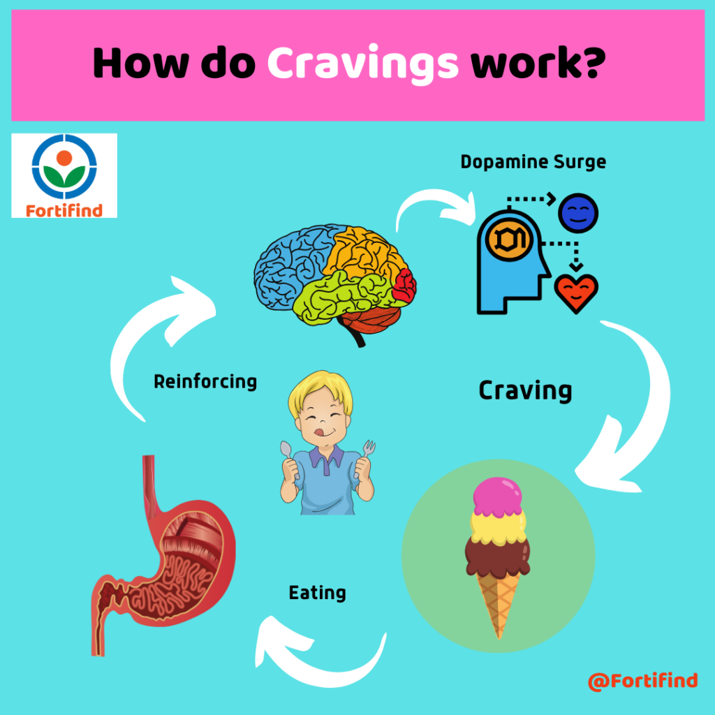 Can Supplements Help With Carb Cravings and Weight Loss? - Fortifind