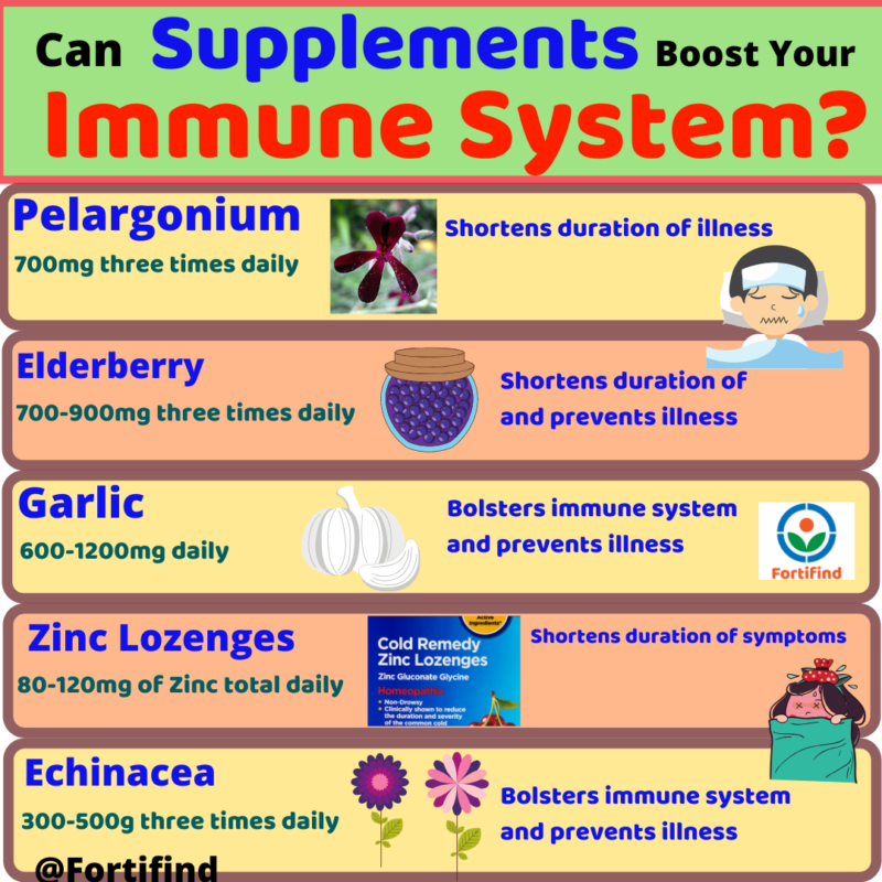 Prevent Getting Sick: Supplements That Strengthen Your Immune System ...